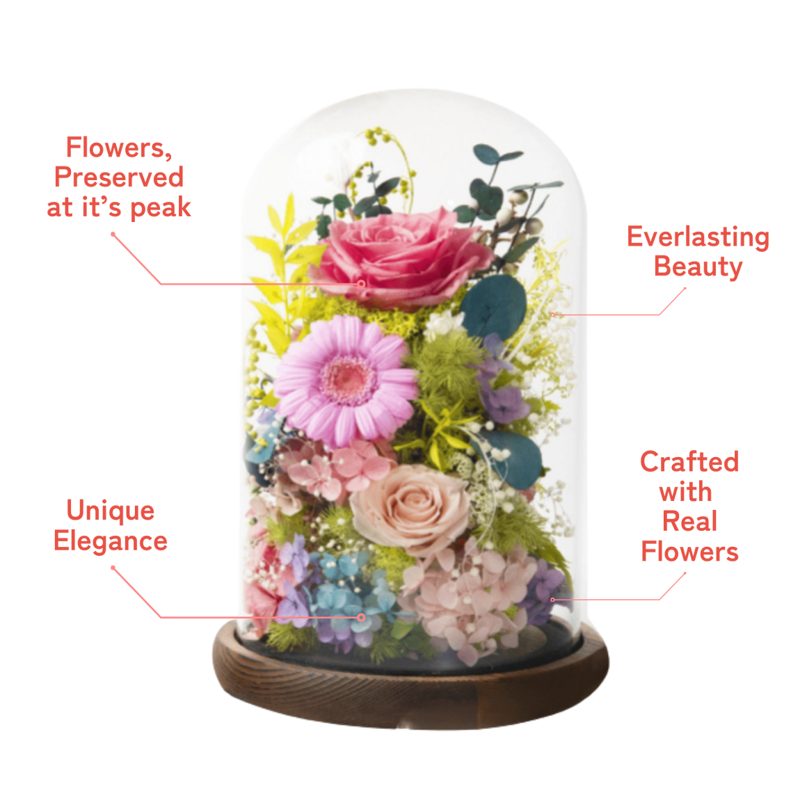 Preserved Flowers, Flower Arrangement - Flower Delivery Singapore – Ana ...